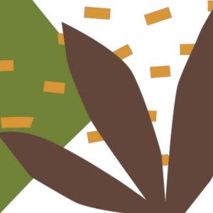 Leadership - Better Way Foundation